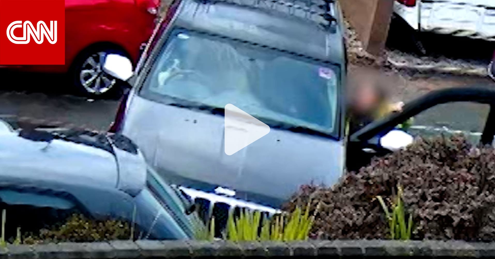 فيديو يظهر كلبا يقود سيارة رباعية الدفع ويتسبب في حادث سير.. شاهد ما حدث – 112112